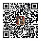 RXI-300型环形被动防护网_ROCCO环形被动防护网_产品中心_河北久松丝网制品有限公司